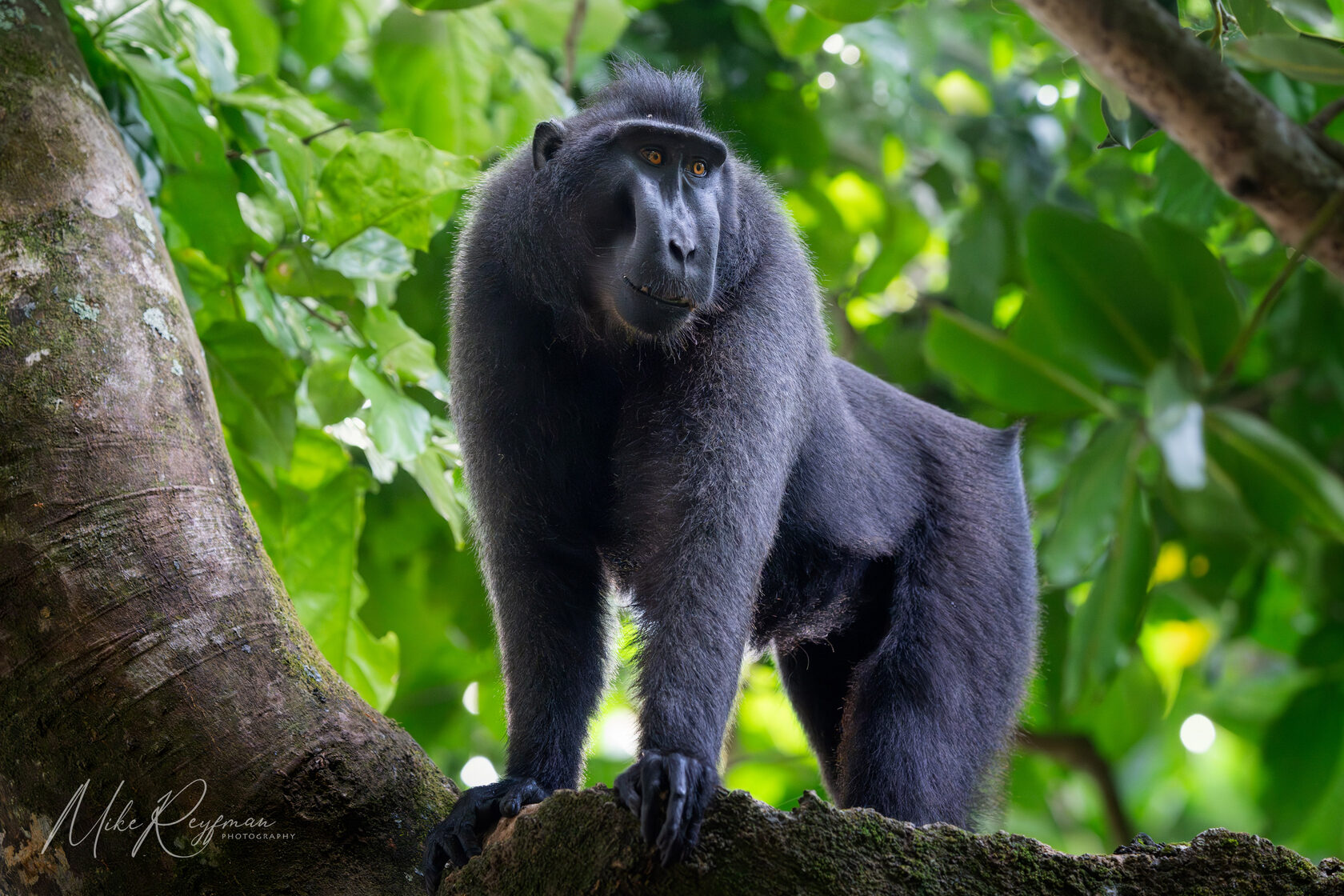 Photo tour to Sulavesi, Indonesia