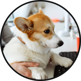 MGCom | Стажировка