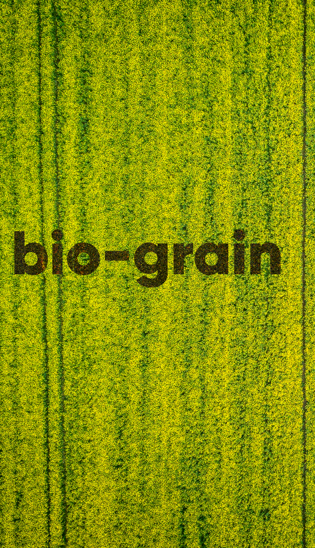 Lider w zakupie i sprzedaży produktów rolnych | biograin
