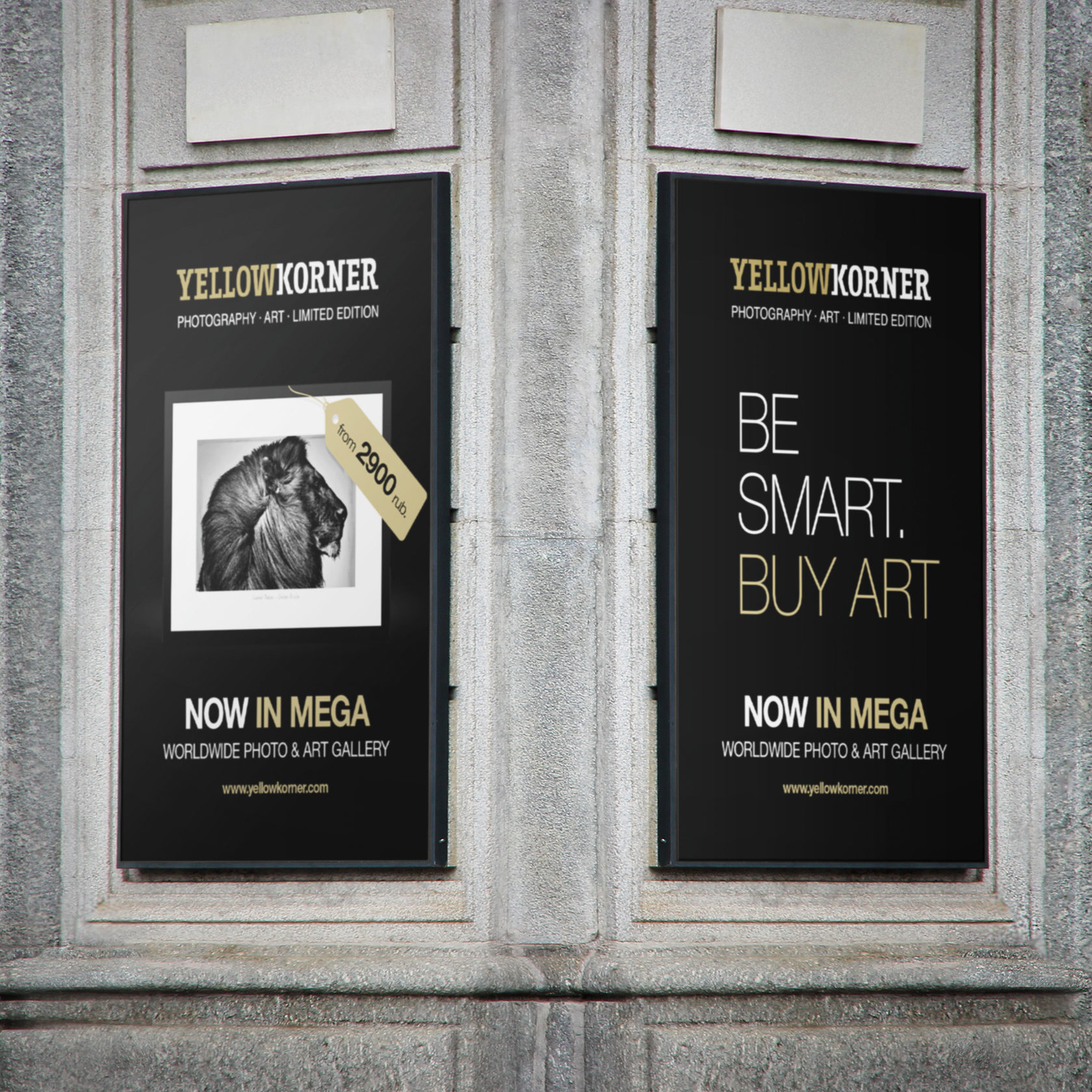 Elena Magazinova Portfolio — YellowKorner Gallery