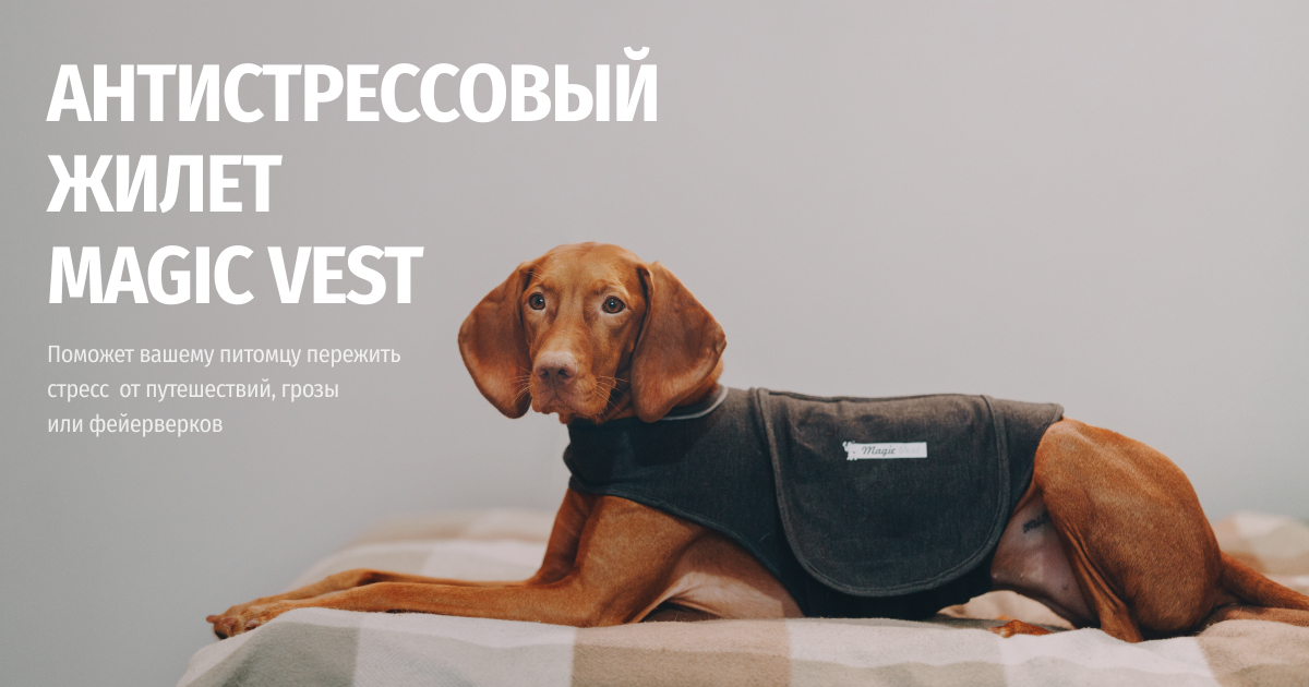 Антистрессовый жилет для собак - Magic vest | Все размеры в наличии