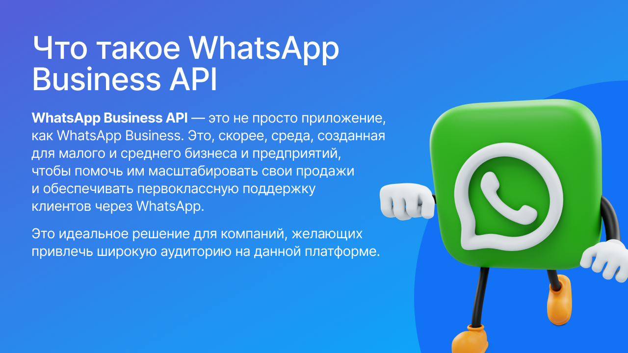 10 преимуществ WhatsApp Business API, о которых вам нужно знать в 2024 году
