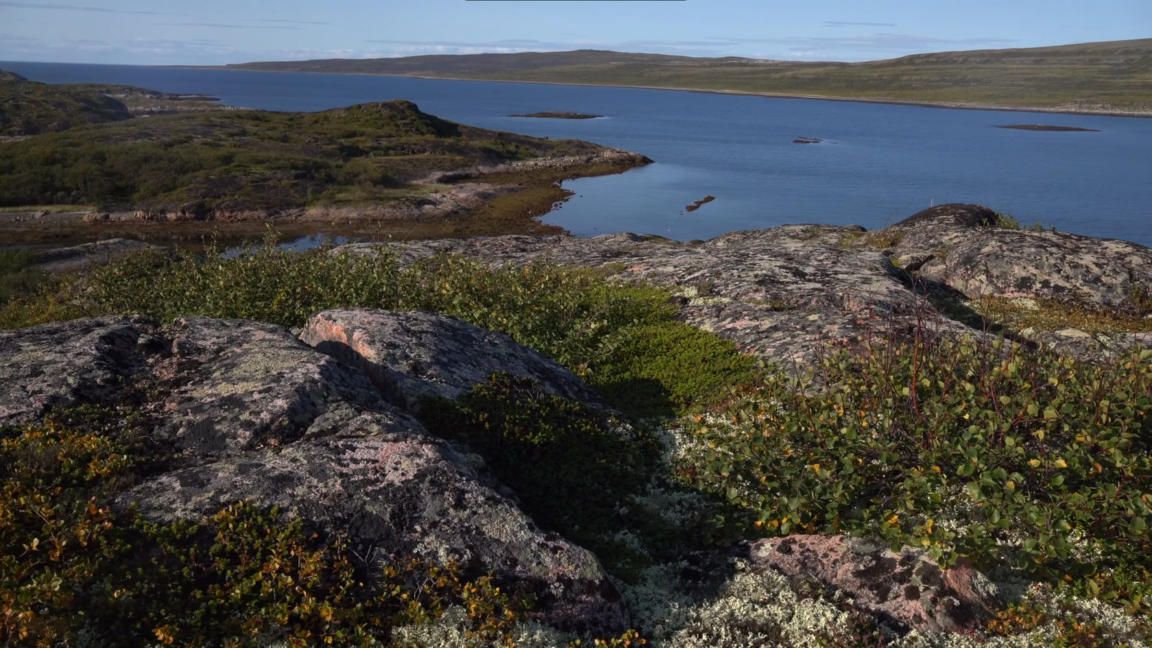 Отправься в глэмпинг Mamont Camp в горном Алтае