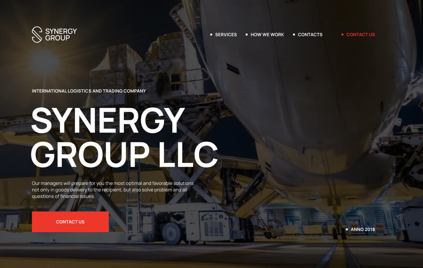 SYNERGY GROUP LLC — International logistics and trading company