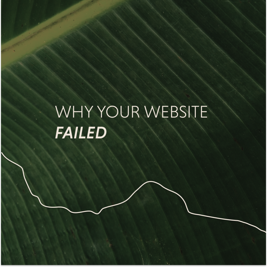 Why Your Website Failed