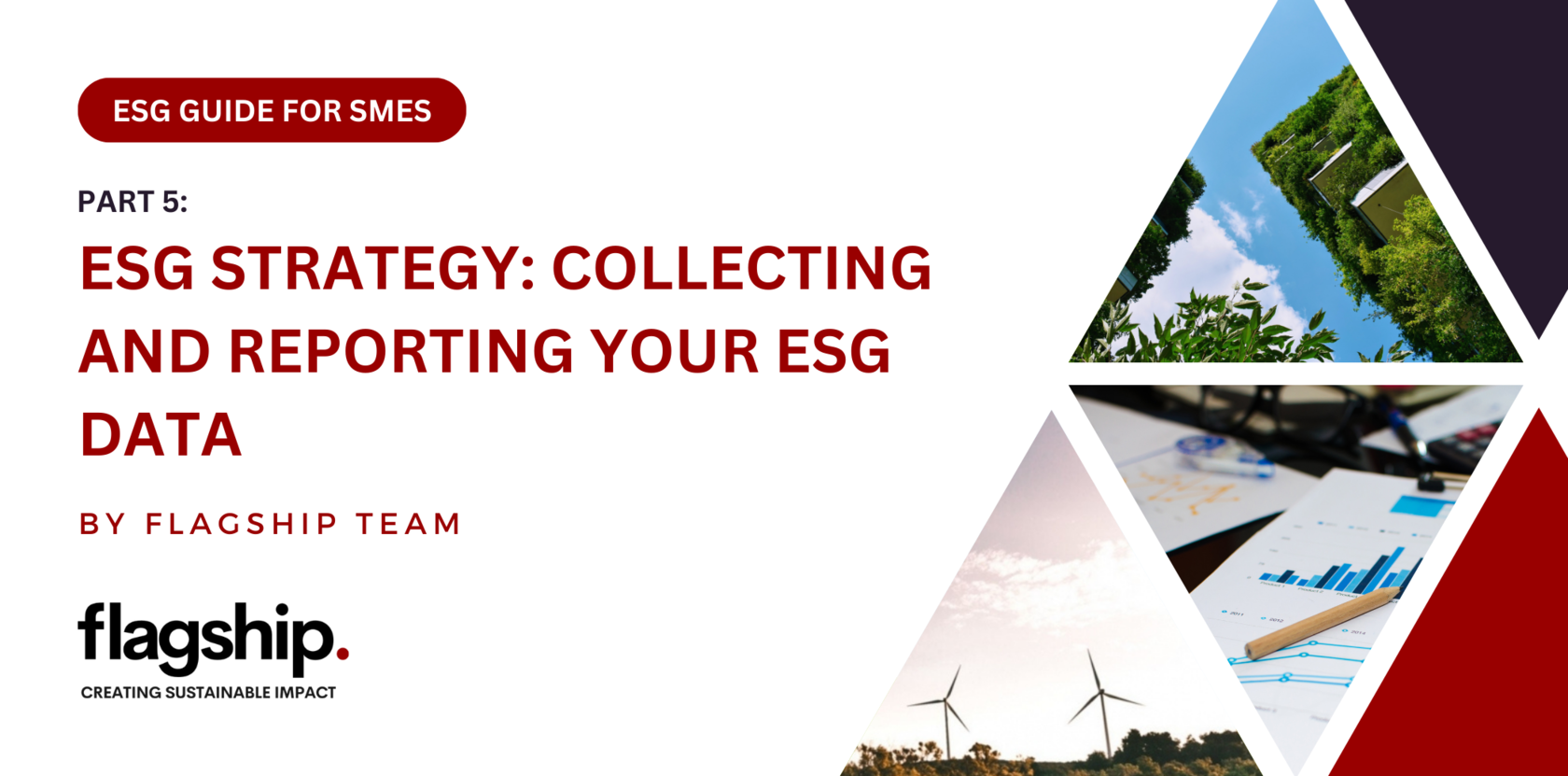 ESG Guide for SMEs Part 5: ESG Strategy: Collecting and reporting your ESG data