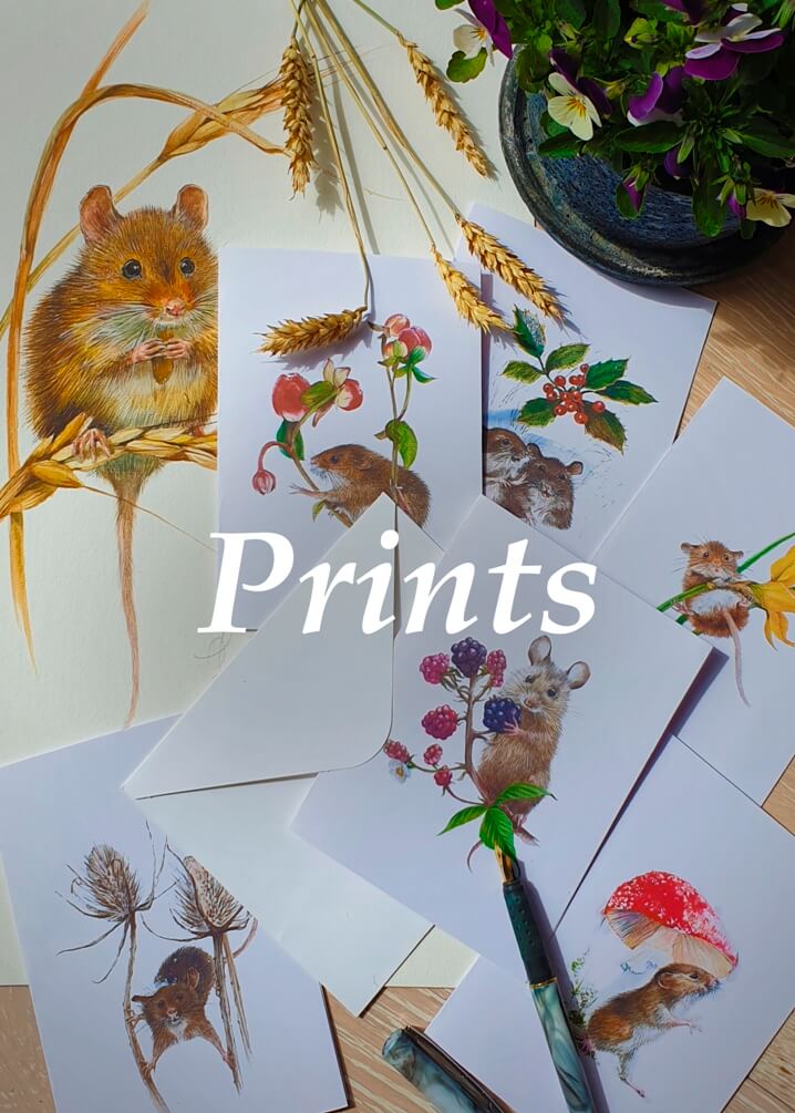 Visual Artist & Illustrator OLGA BYRNE