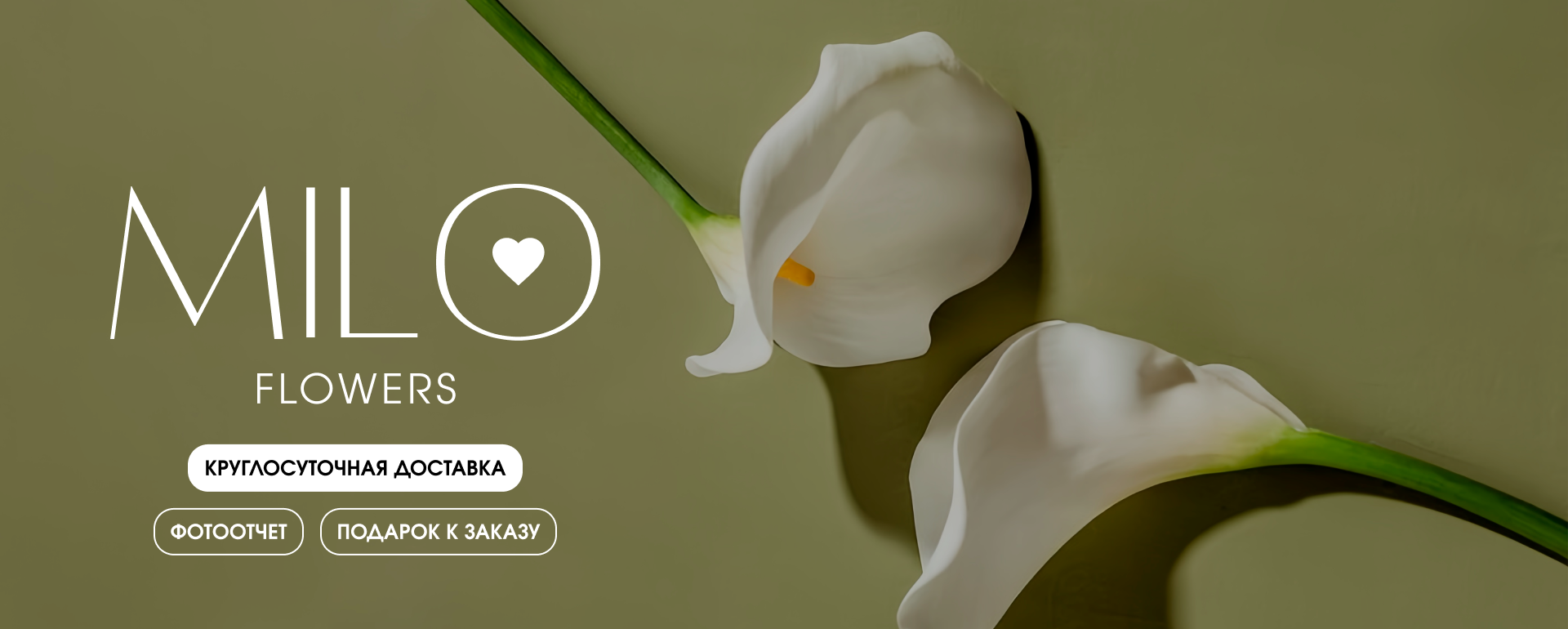 Доставка цветов Уфа | Цветы Уфа | Milo Flowers