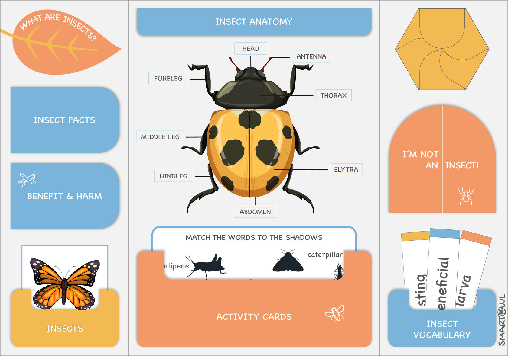 Лэпбук Насекомые на английском языке для школьников