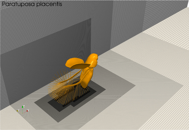 Computational Mechanics of Biological Locomotion Computational Mechanics of Biological Locomotion