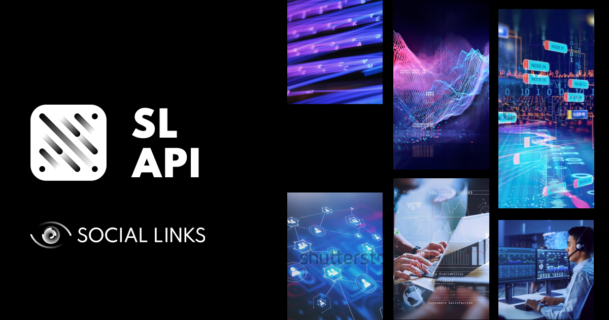 SL API - OSINT API for Social Media Investigations