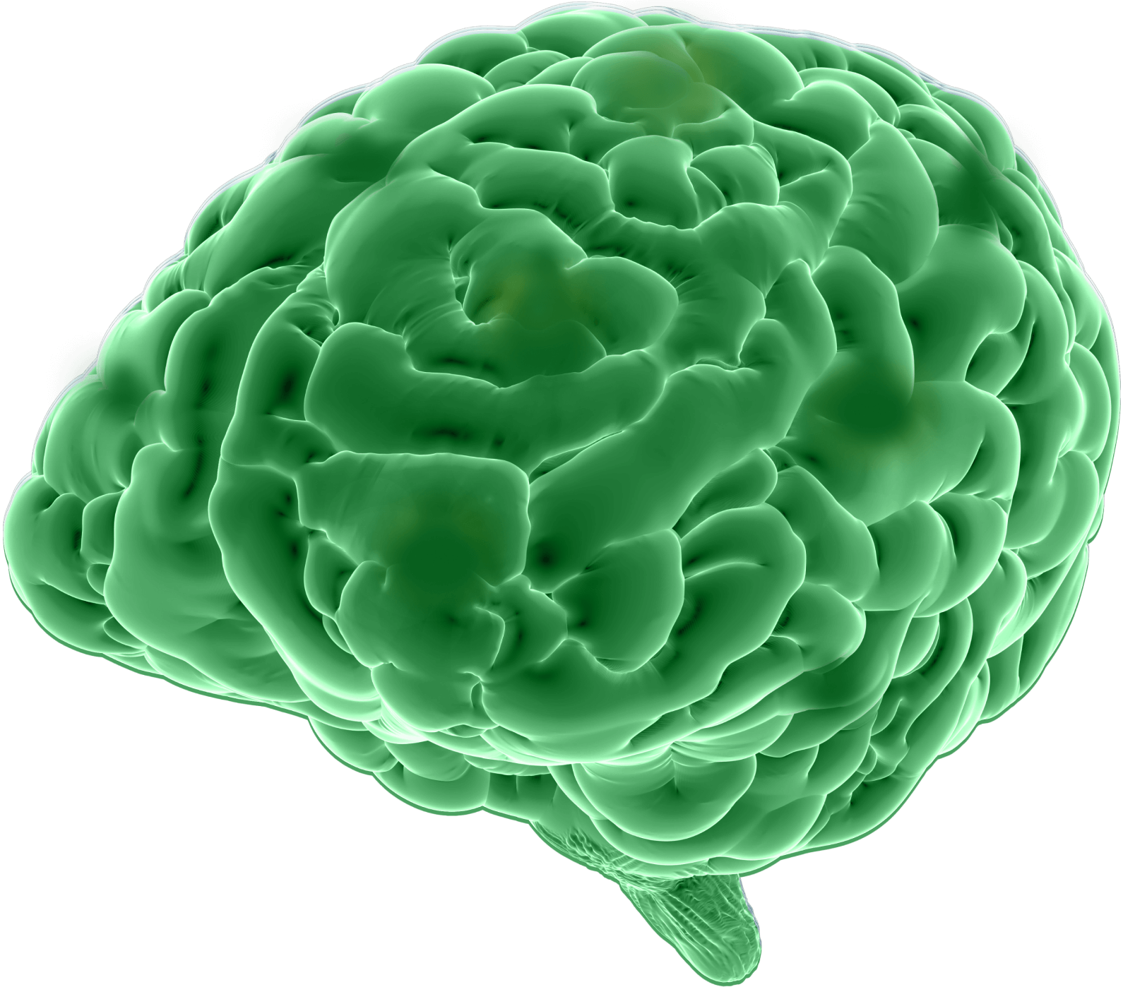 Холин Стронг. Двойная поддержка функций мозга