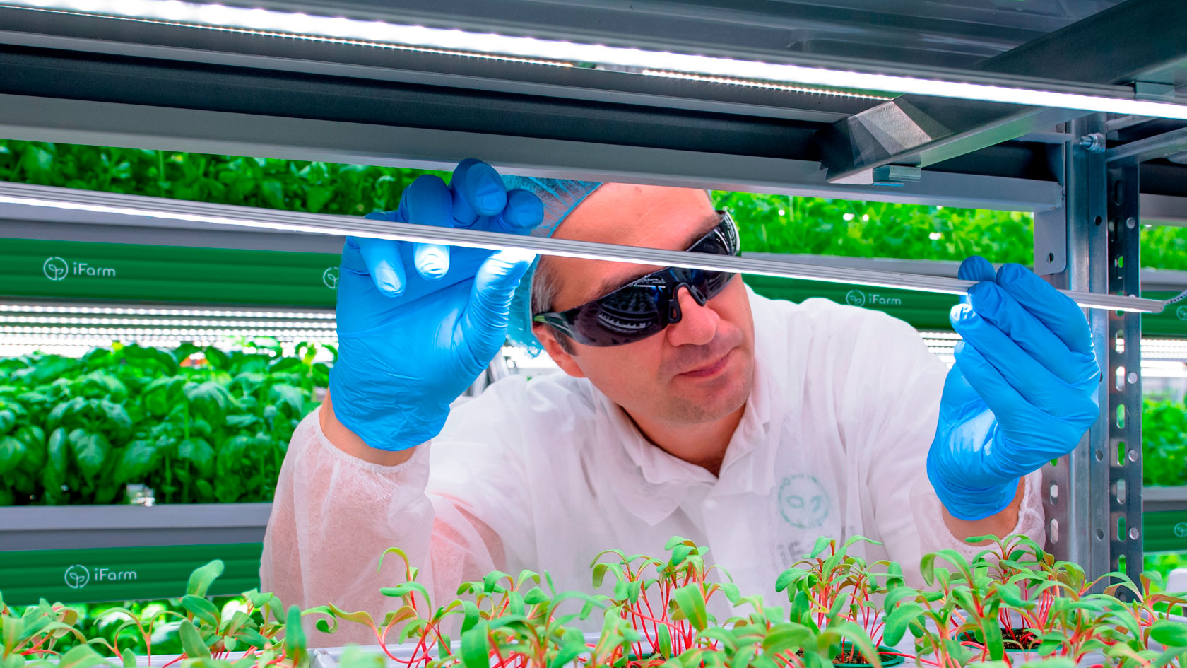 What are vertical farming systems? Here’s all you need to know