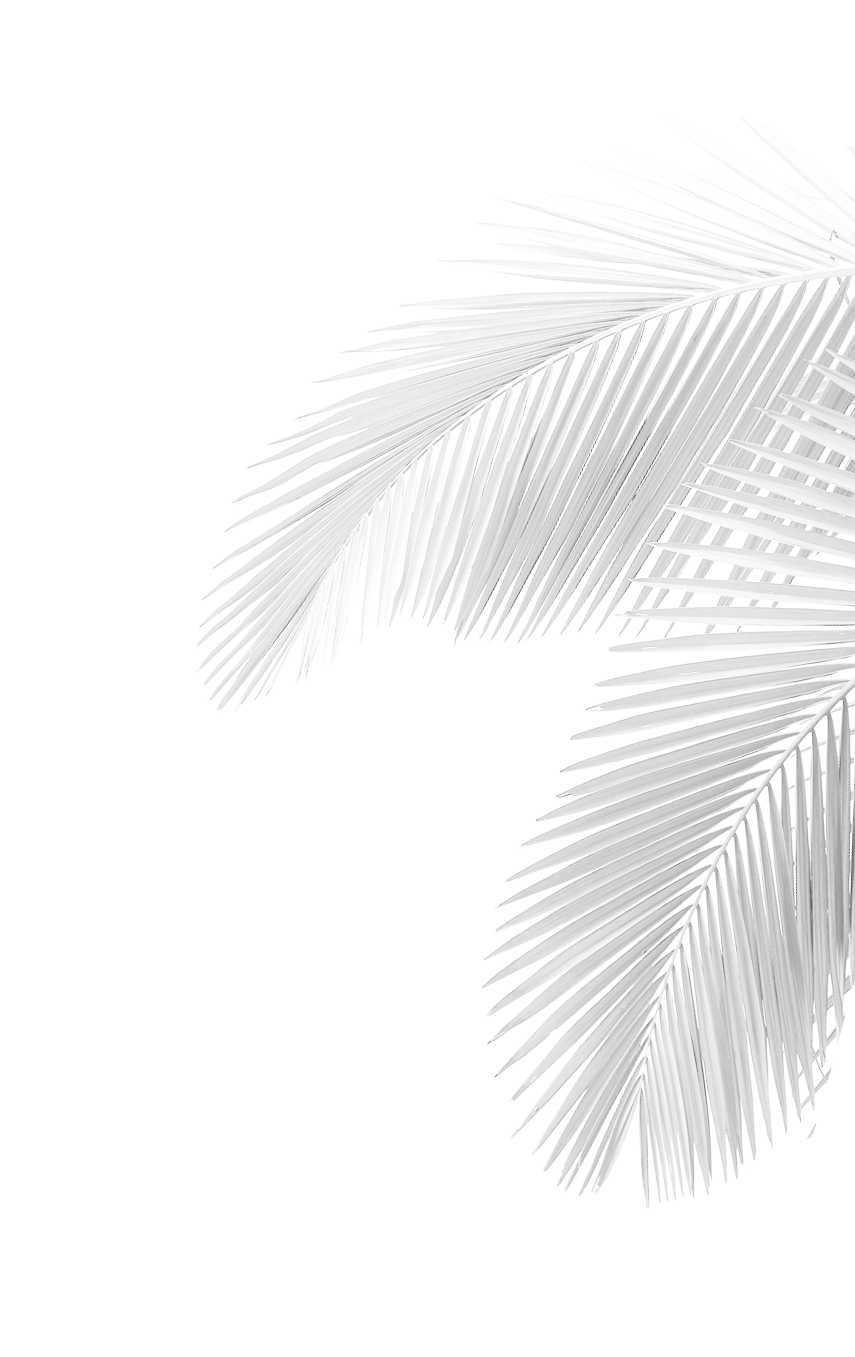 stretch_nadya_osanka