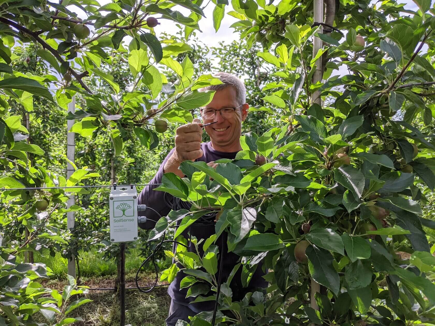 SoilSense - soil moisture sensors for the future of agriculture