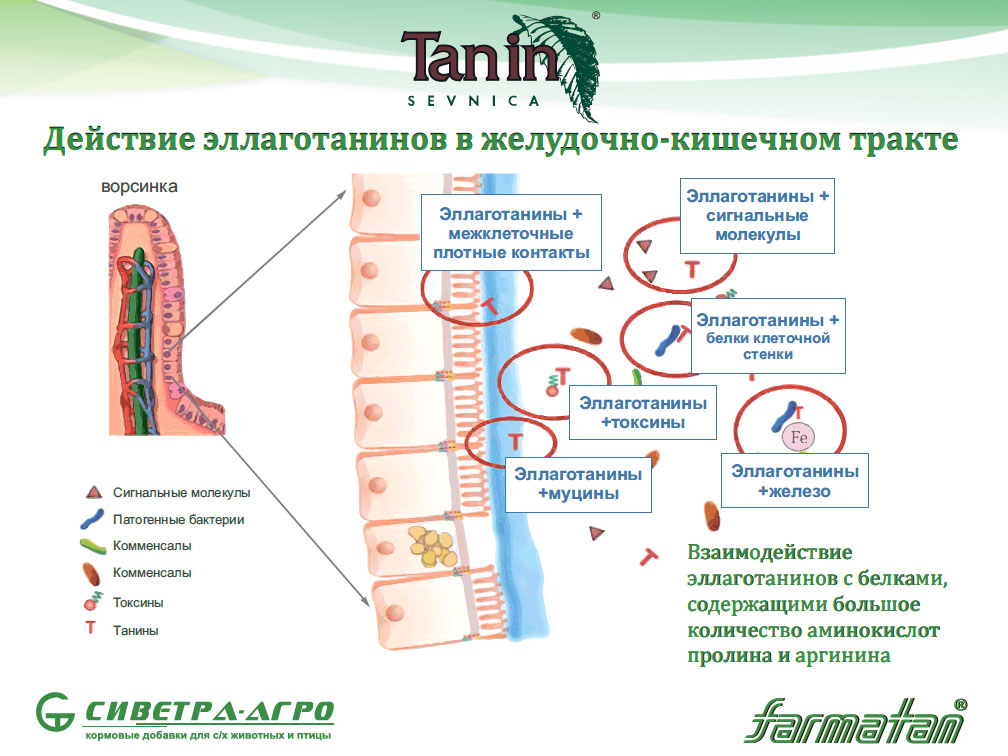 ФАРМАТАН ТМ