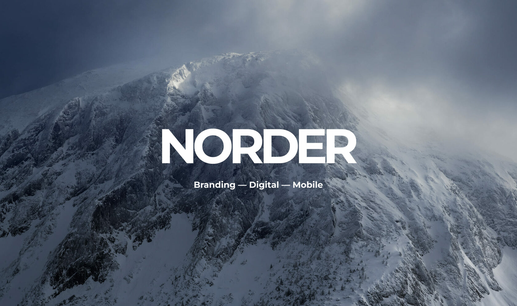 Digital-агентство NORDER