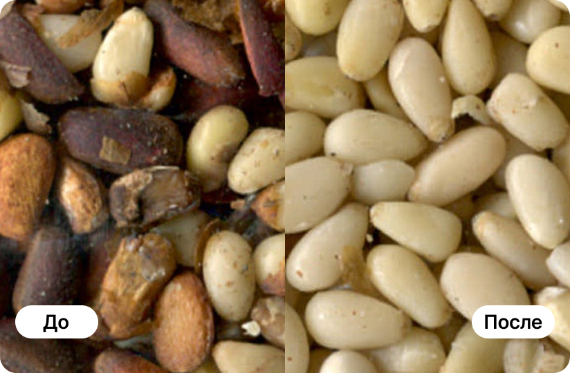 Фотосепаратор SmartSort C3