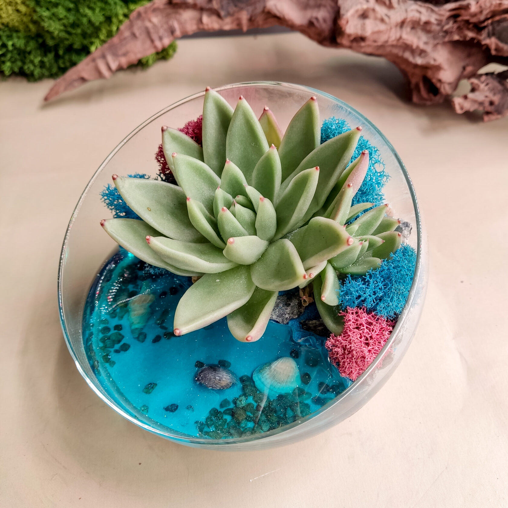 Флорариум с суккулентами "Море"