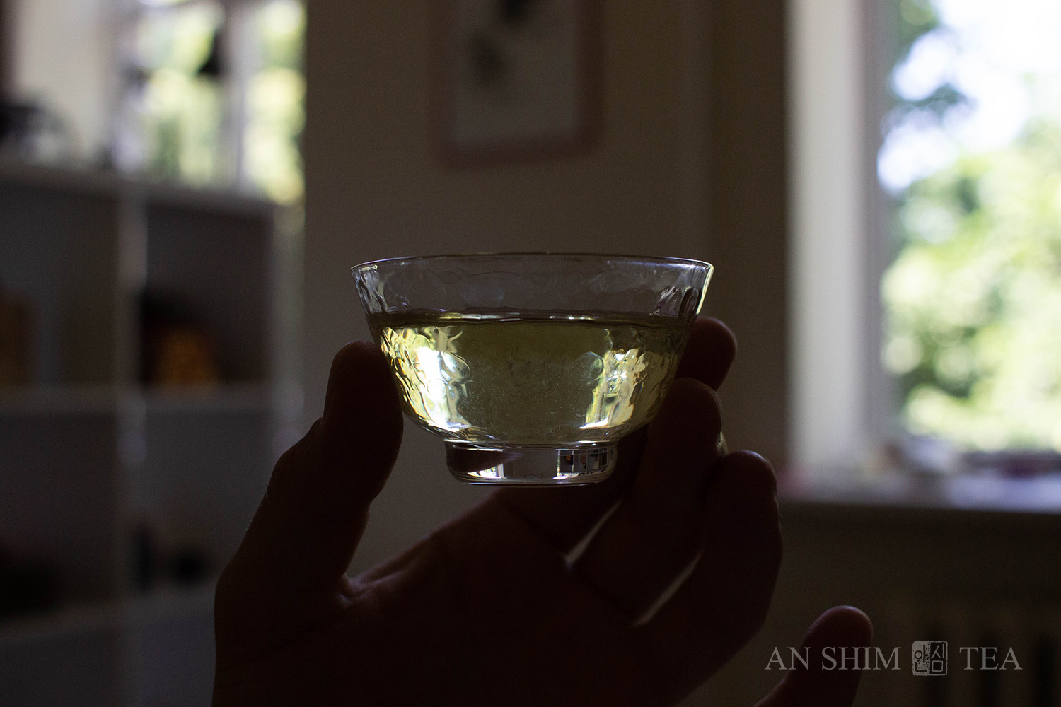 Anji Bai Cha | "White Tea from Anji"