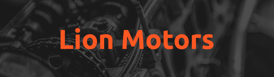 Lion Motors: автосервис в Москве