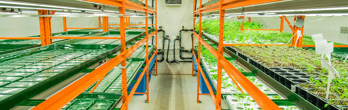 Купить сити-ферму под ключ. Вертикальные фермы и витрины для ...