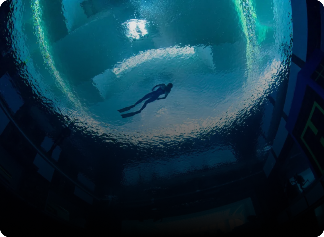 О школе — Orca School