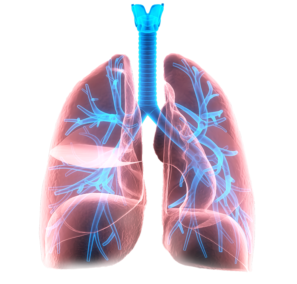 TechnegasPlus генератор