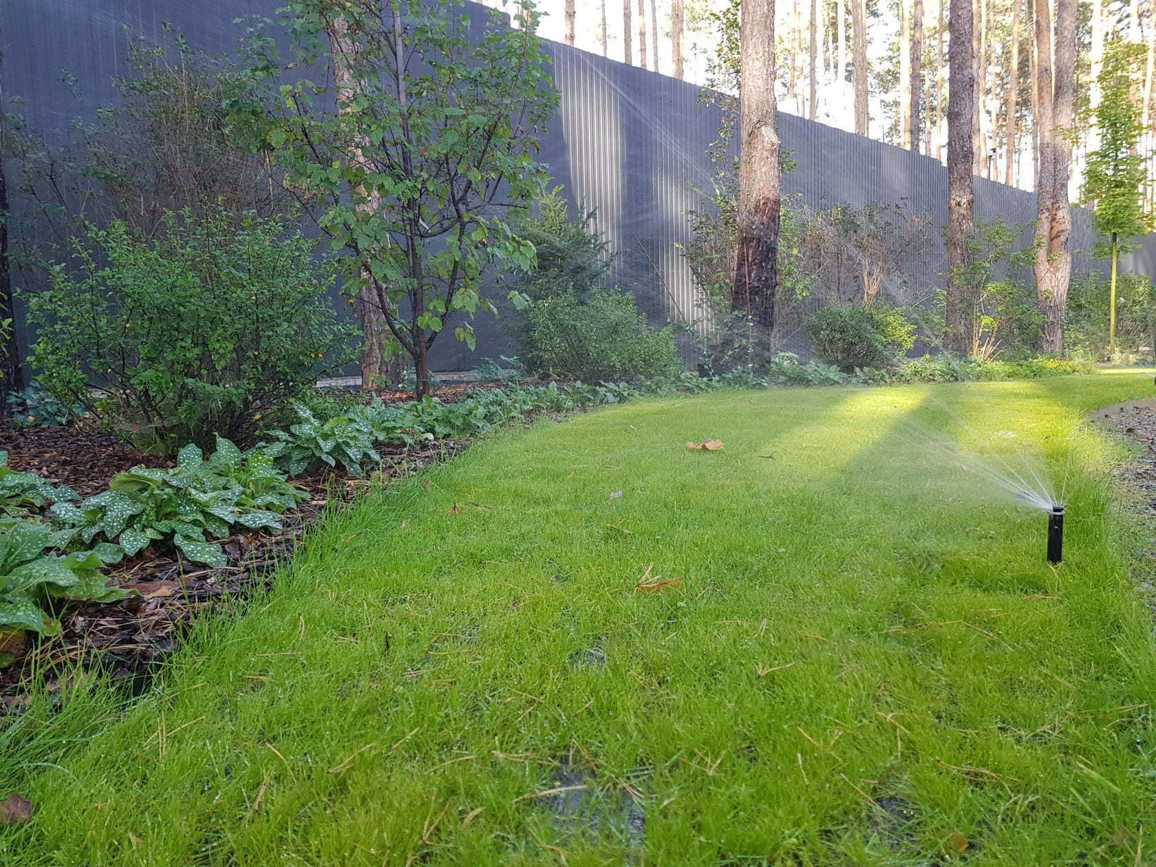 Автополив, автоматический полив Киев