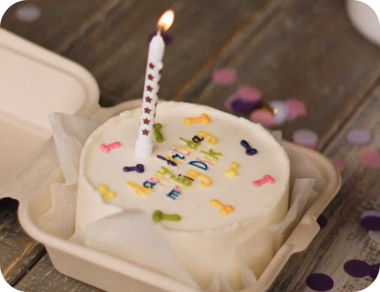 Бенто-торты на заказ в Санкт-Петербурге - доступная цена | HELGACAKE