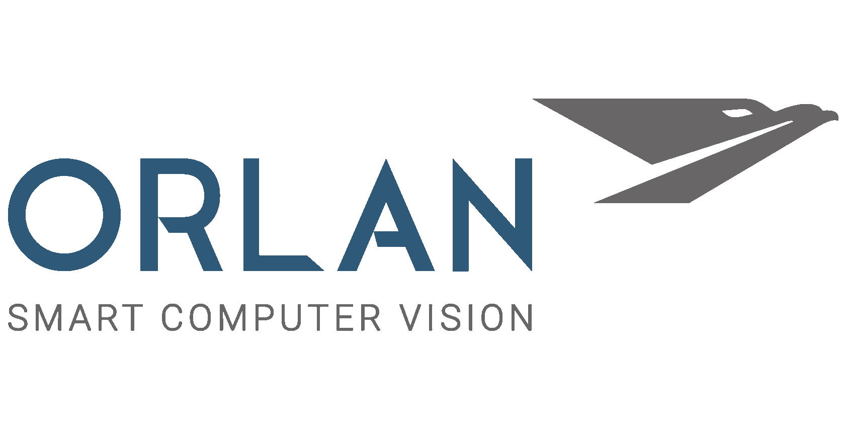ORLAN | ABOUT COMPANY