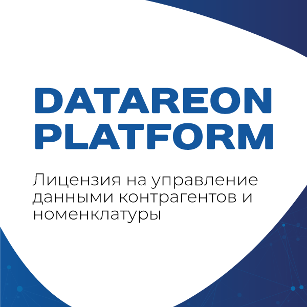 Лицензии Datareon Platform