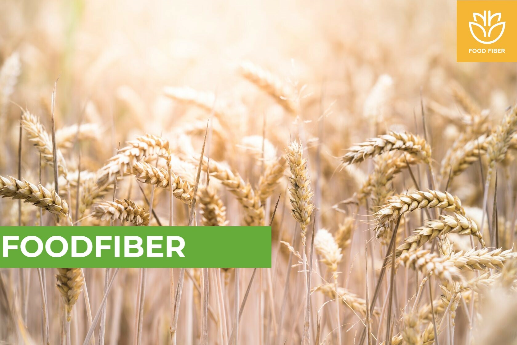 FoodFiber | ФудФайбер | Российский производитель пищевой пшеничной ...