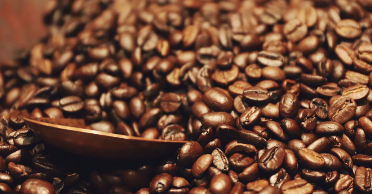 Coffee Fermentation: Reasons To Add Microorganisms