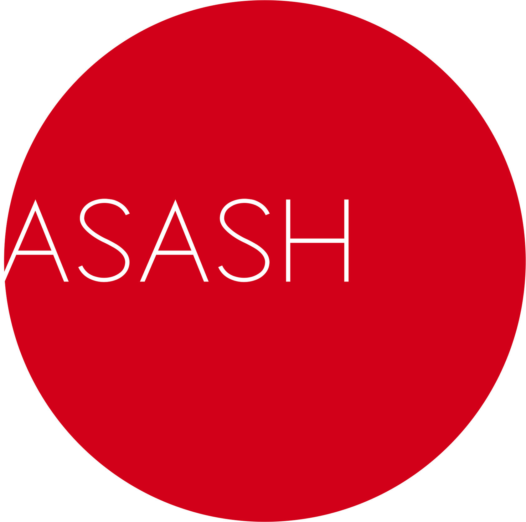 О нас | студия ASASH