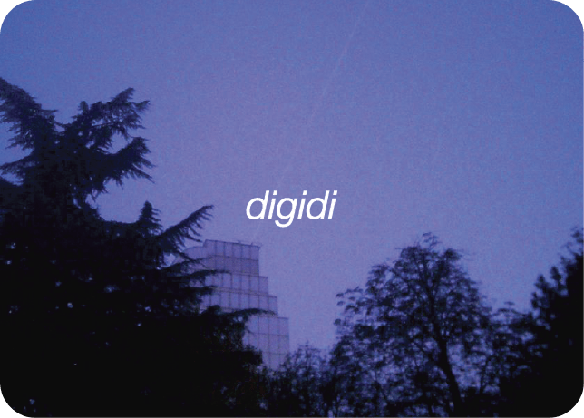 digidi
