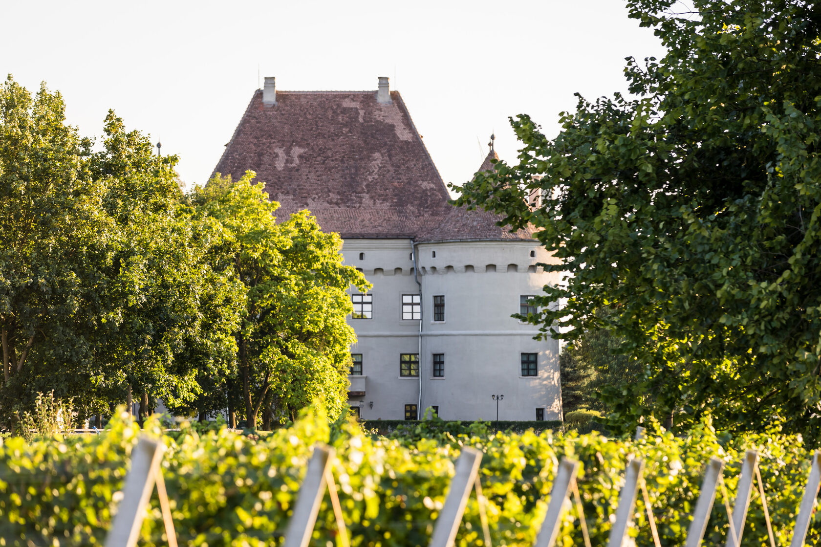 Bethlen-Haller Castle