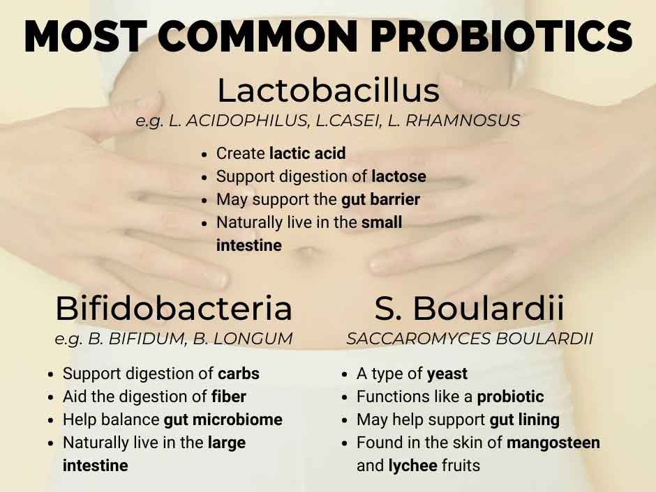 Probiotics: A Complete Guide
