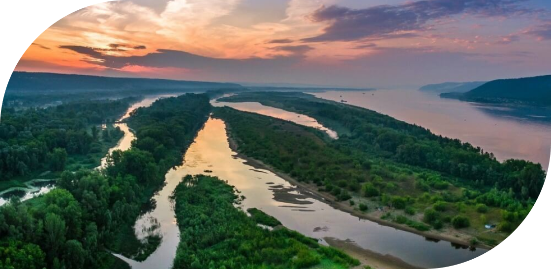 О компании «Каспийские Деликатесы»