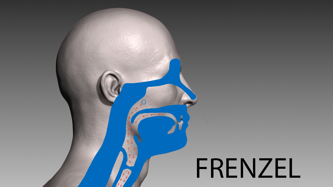 Comparing Frenzel and Valsalva: which equalization technique is right ...
