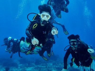Scuba Diving Philippines, Panglao, Bohol. Tropical divers.