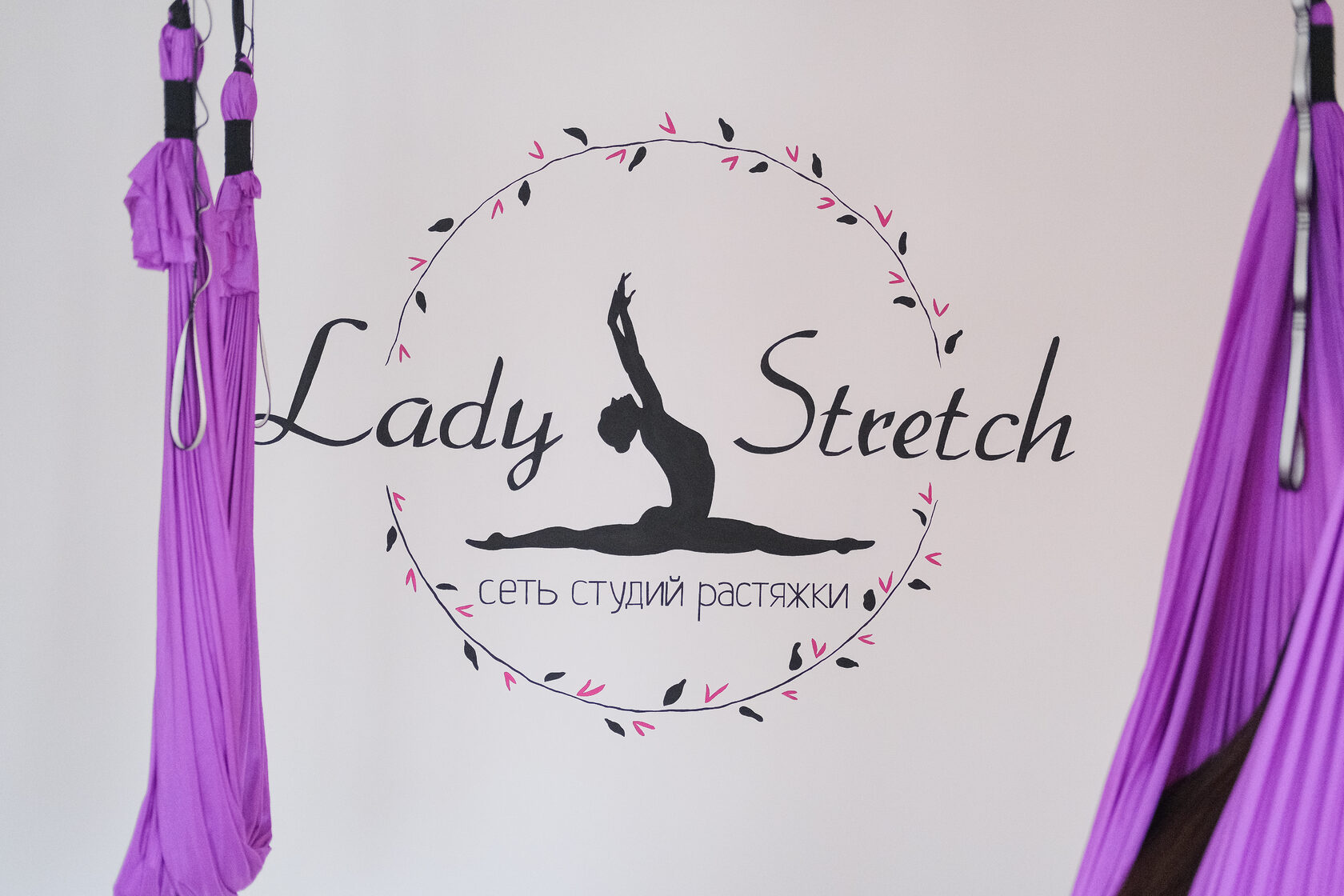 Москва все студии | Сеть студий растяжки LadyStretch