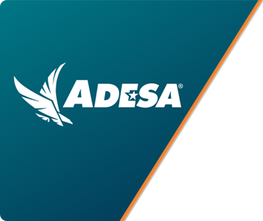 FoxCarriers | Your reliable logistics partner