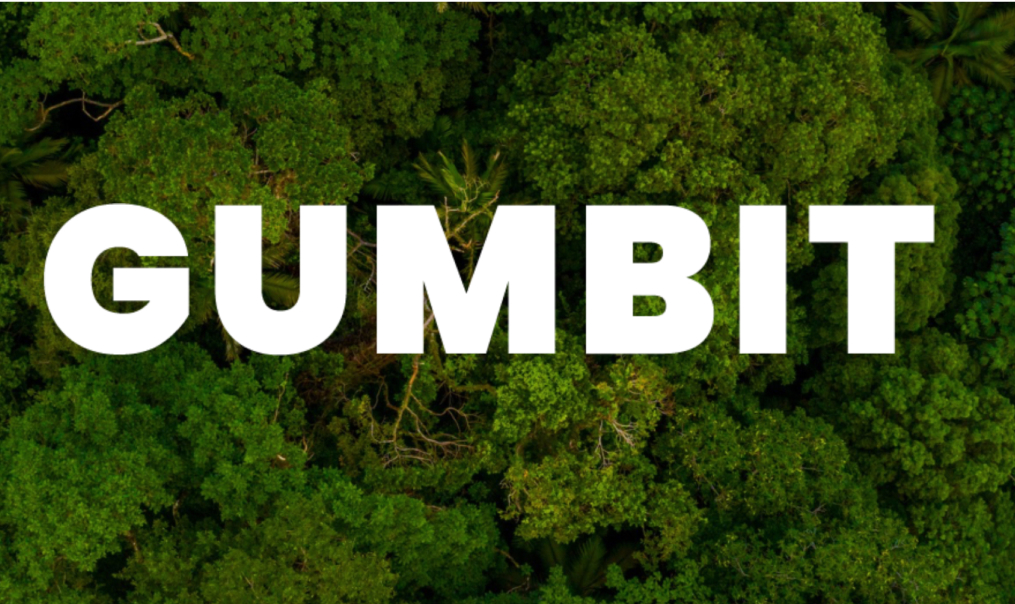 Натуральная органическая жвачка GUMBIT | 100% NATURAL | VEGAN