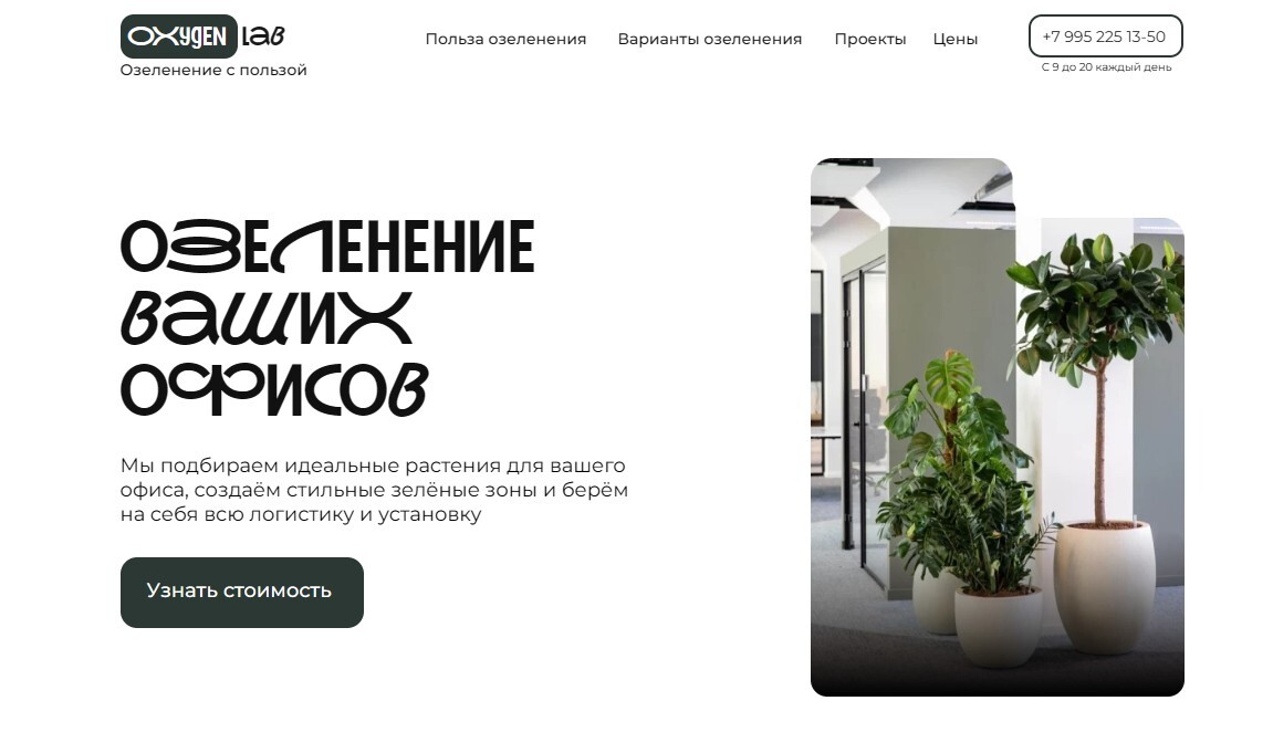 Озеленение офисов с пользой — Oxygen Lab