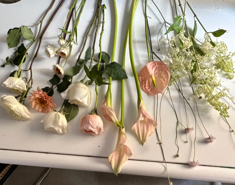 Spring setting course