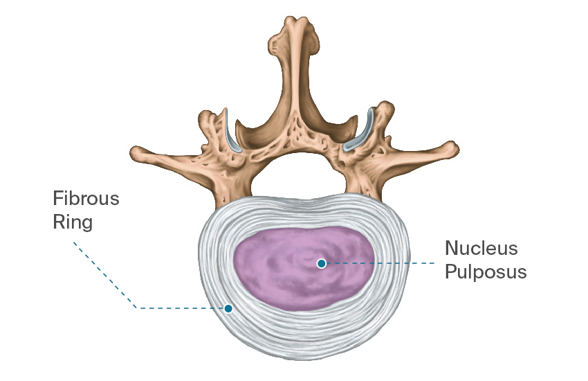 About resorption | Innovating approaches based on science
