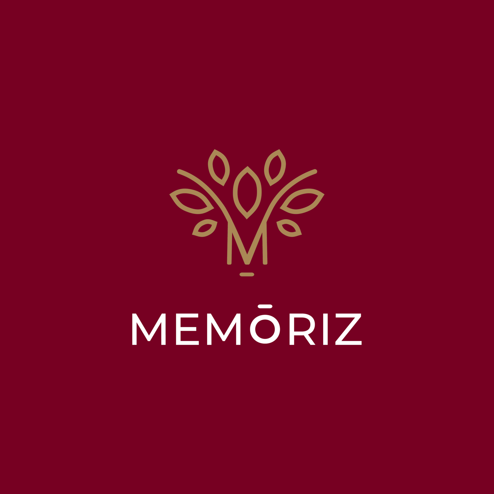 Memoriz