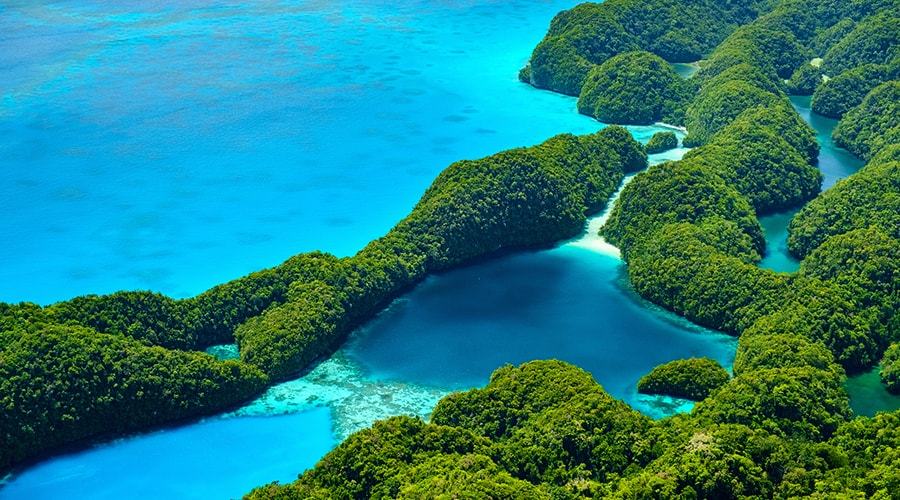 NFWare CGNAT solves IPv4 shortage problem in Micronesia NFWare CGNAT solves IPv4 shortage problem in Micronesia
