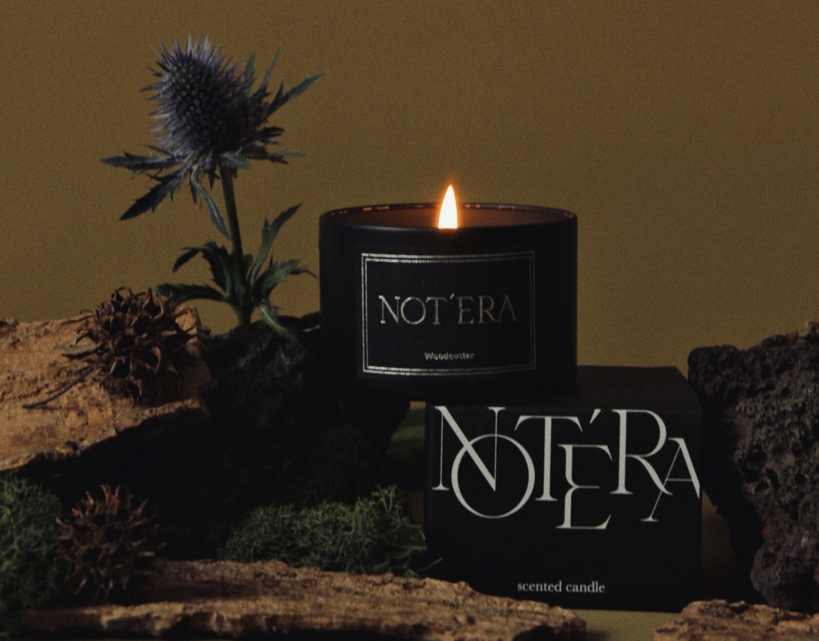 NOTERA — Woodcutter